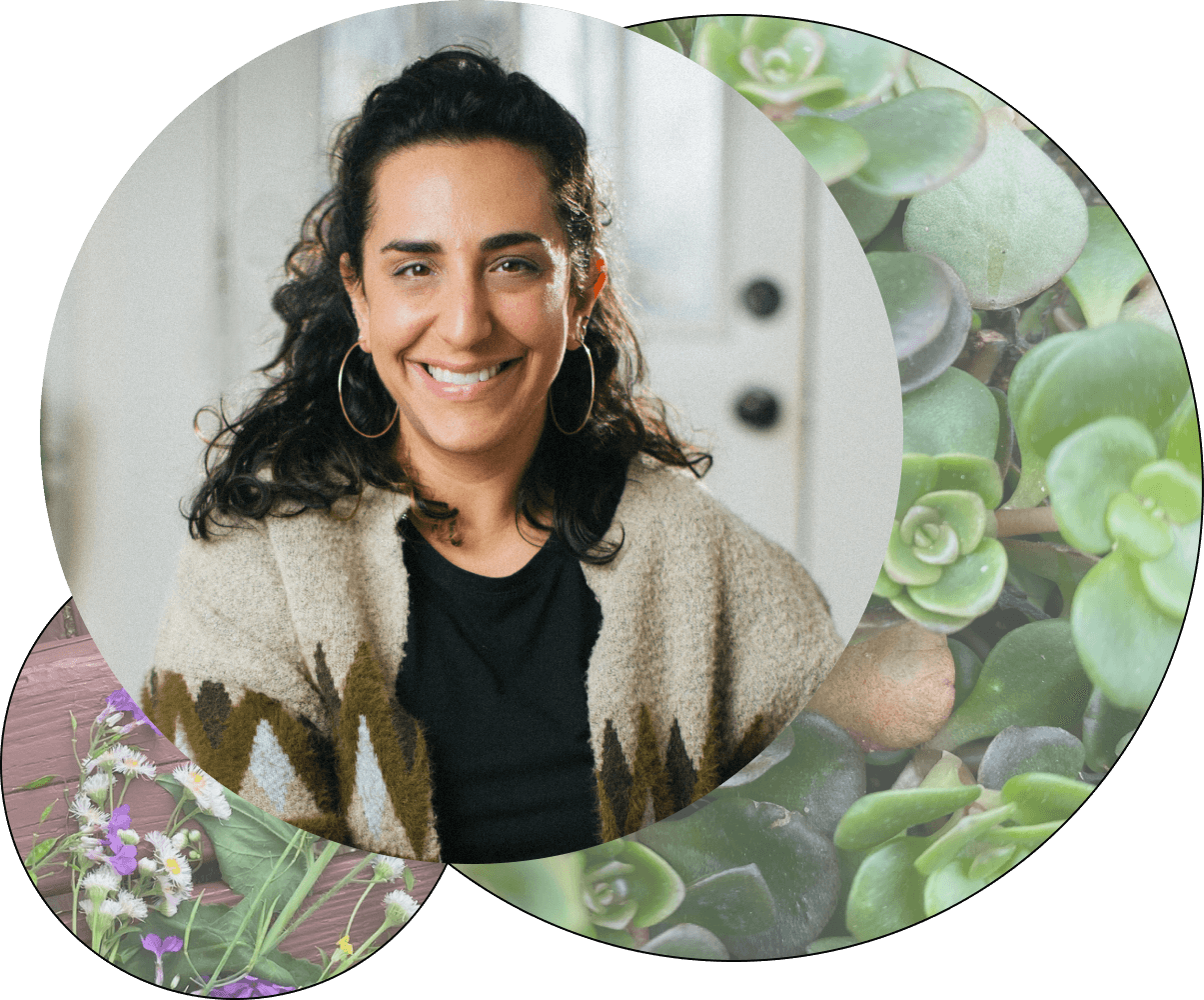 Home - Stephanie Levi